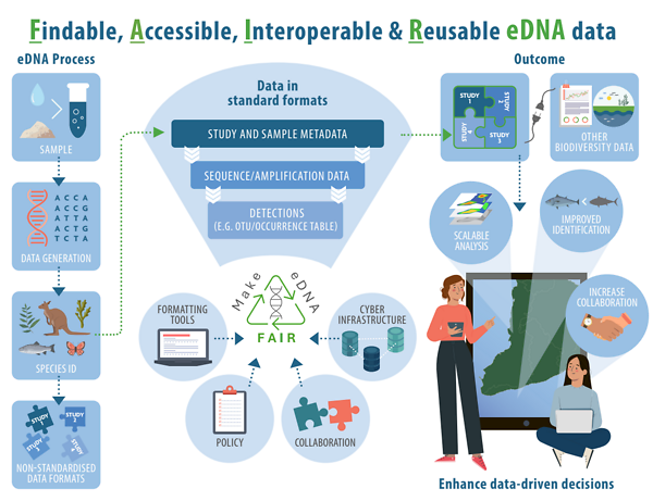 [Seminar] Making eDNA data FAIR (Findable, Accessible, Interoperable, Reusable) | OIST Groups
